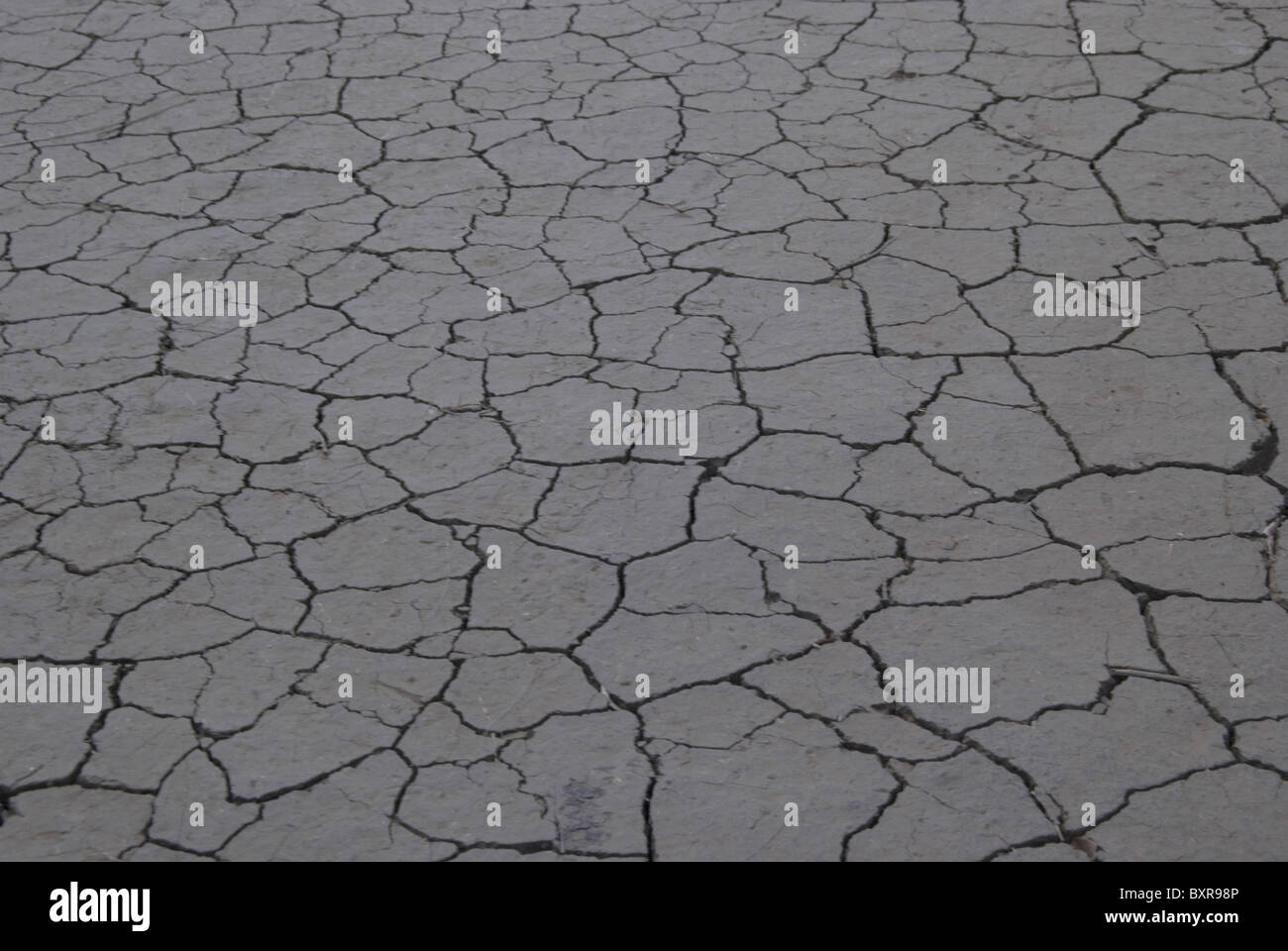 Dry land after monsoon Stock Photo - Alamy