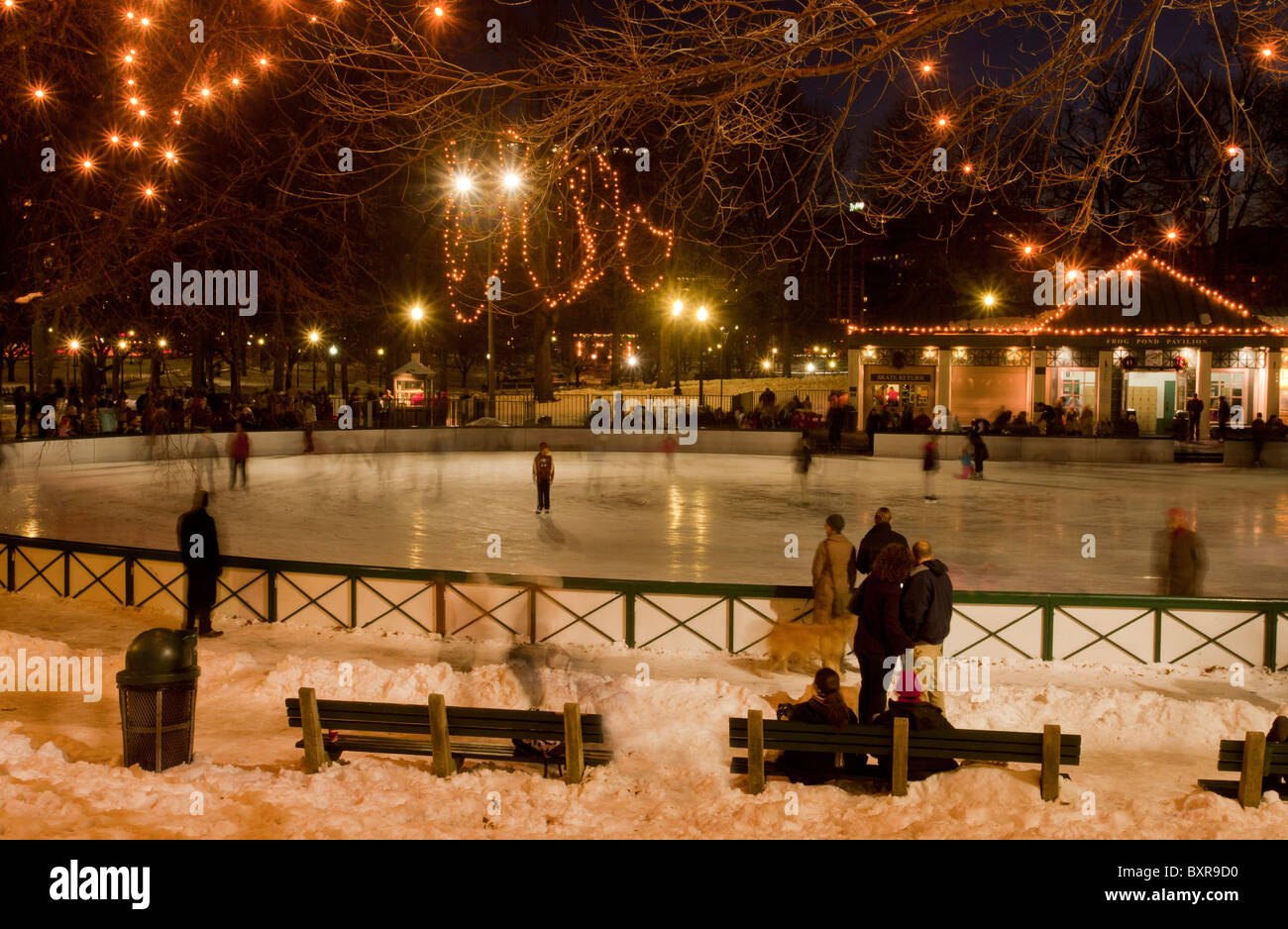 Christmas skating rink on Frog Pond, the Common, Boston, Ma, USA Stock ...