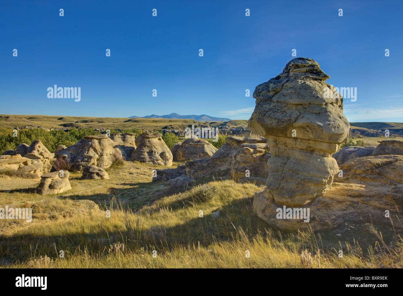 Hoodoos, Writing-On-Stone Provincial Park, Alberta, Canada Stock Photo ...