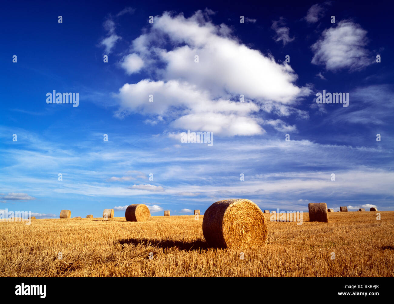 Broad chalke wiltshire hi-res stock photography and images - Alamy