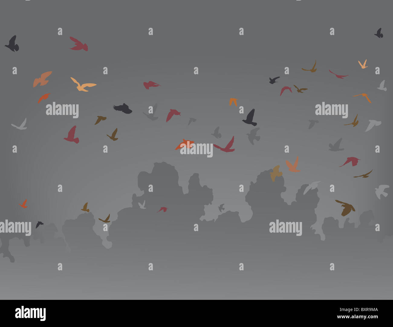 Bird migration illustration hi-res stock photography and images - Alamy
