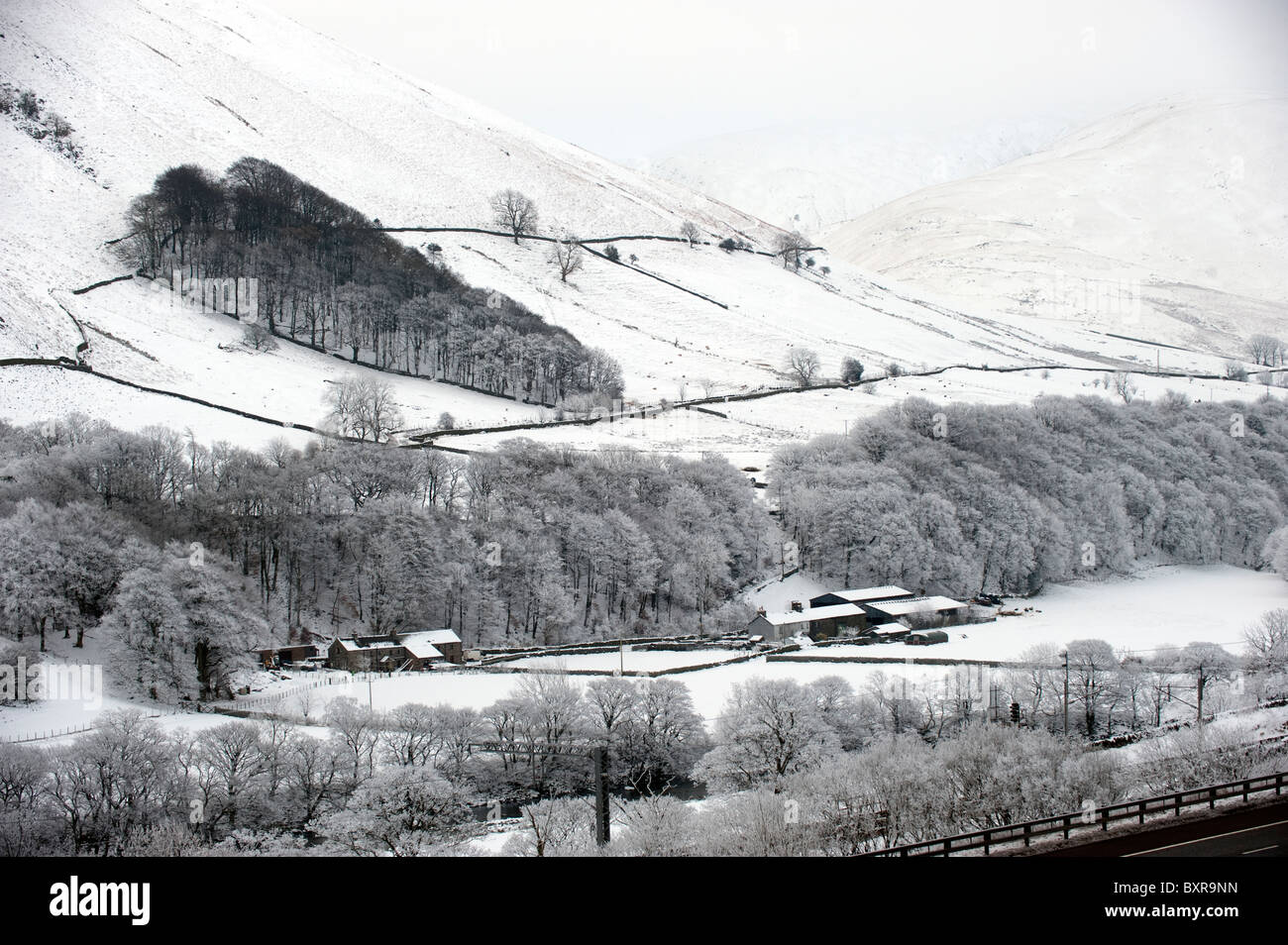 Heavy hoar frost after freezing fog in the Lune Valley near Tebay Stock ...