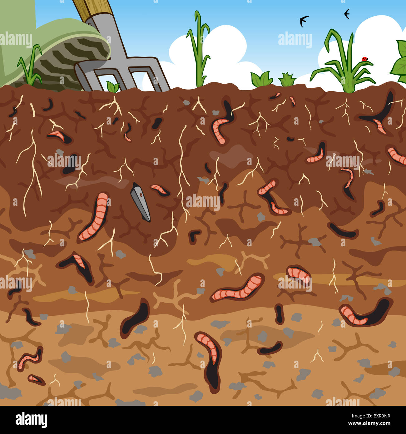 Illustration of earthworms in garden soil Stock Photo - Alamy