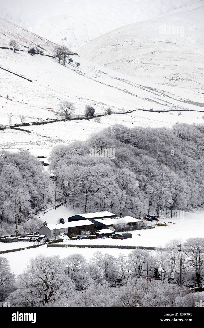 Heavy hoar frost after freezing fog in the Lune Valley near Tebay Stock ...