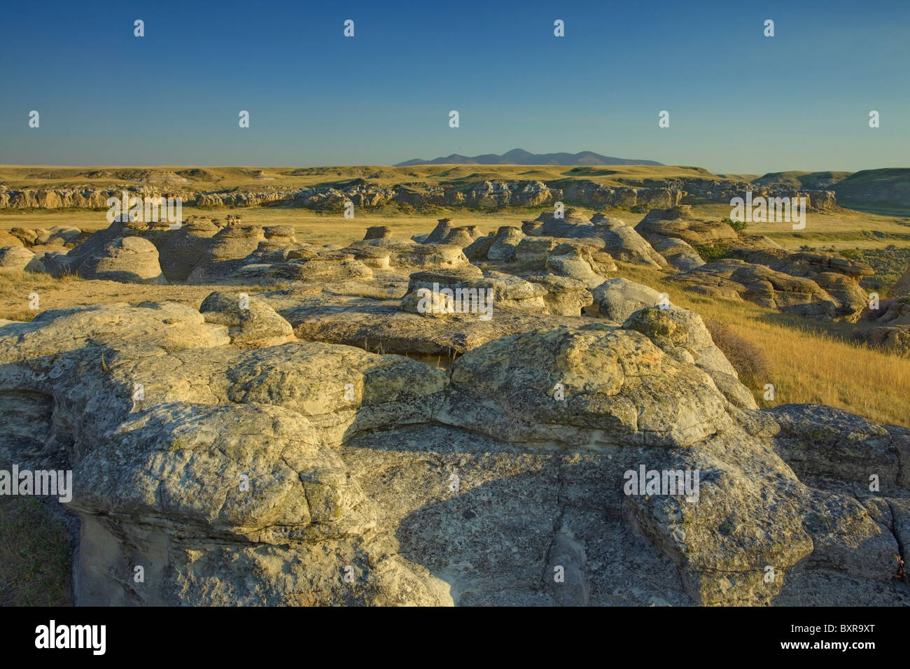 Milk River Canyon Hoodoos, Writing-On-Stone Provincial Park, Alberta ...