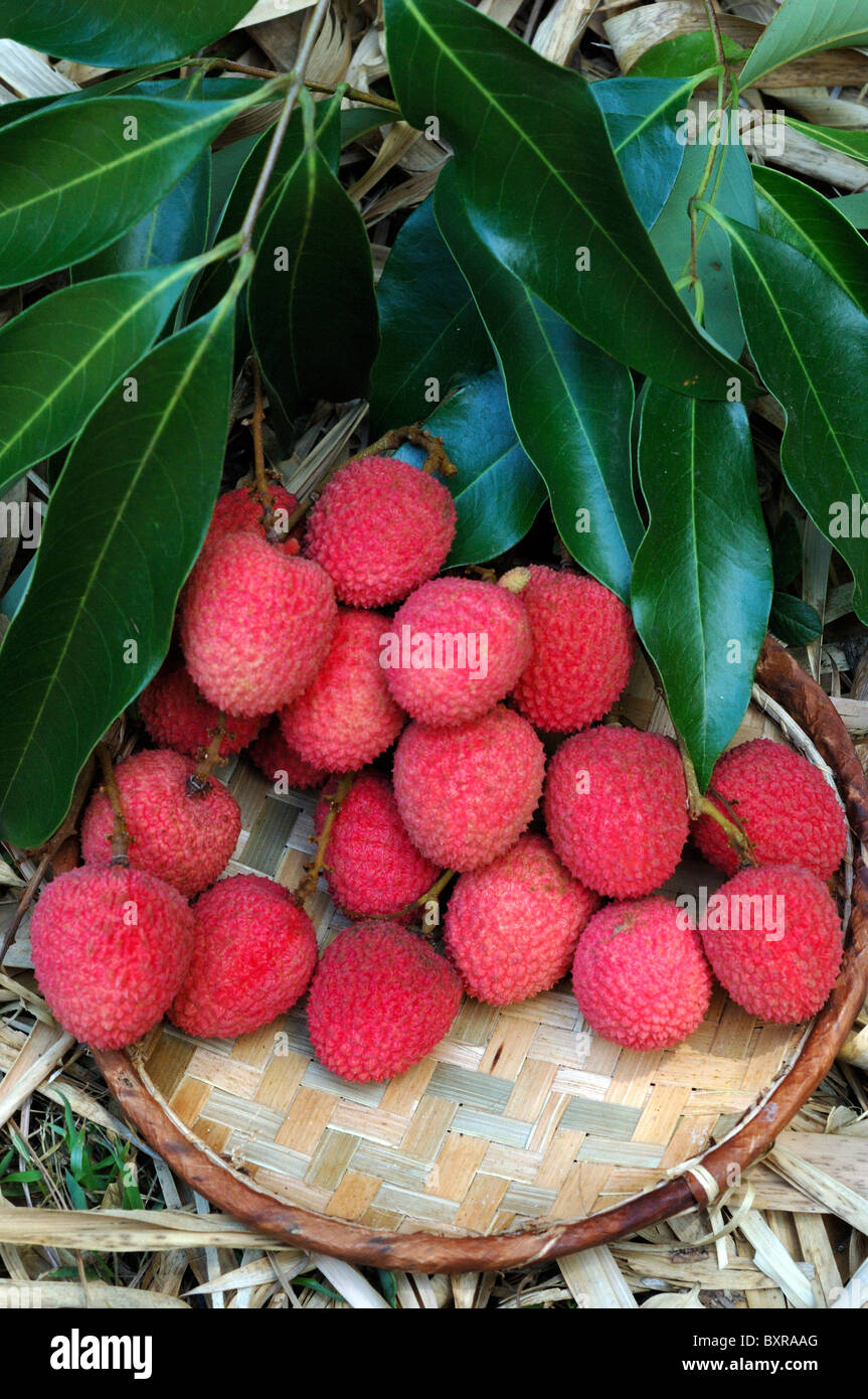 Litchis hi-res stock photography and images - Alamy