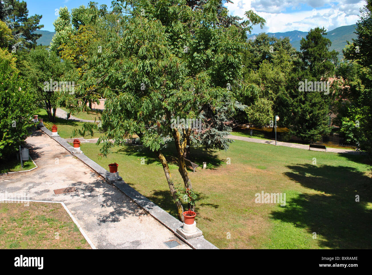 public park with grass trees and benches Stock Photo - Alamy