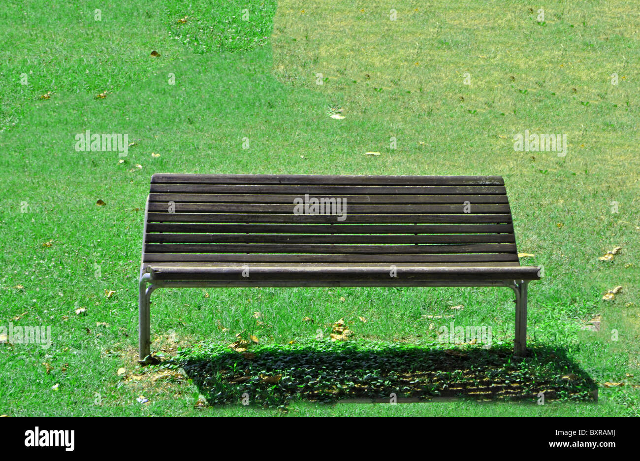 public park with grass trees and benches Stock Photo - Alamy