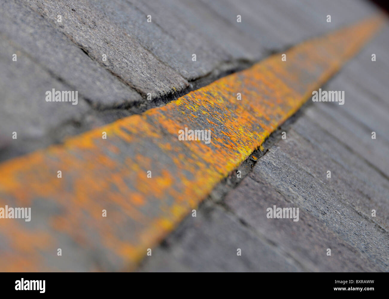 Equator line marked on the ground in the Park "Mitad del Mundo" (middle ...