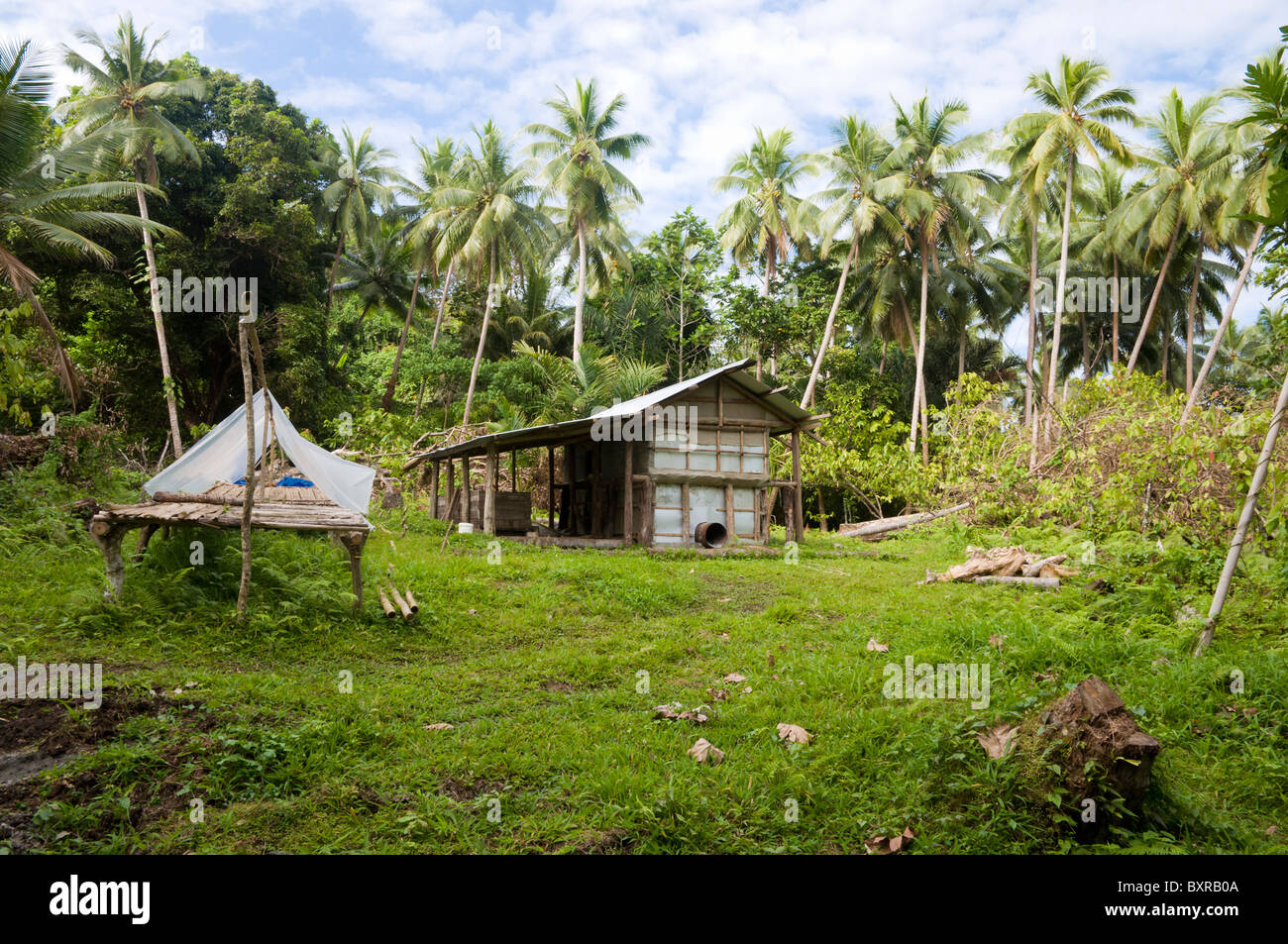 Copra hi-res stock photography and images - Alamy