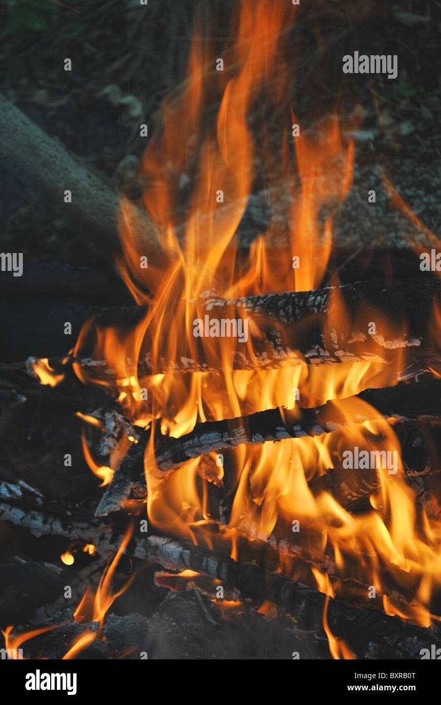 wood fire to cook meat and fish grilled Stock Photo - Alamy
