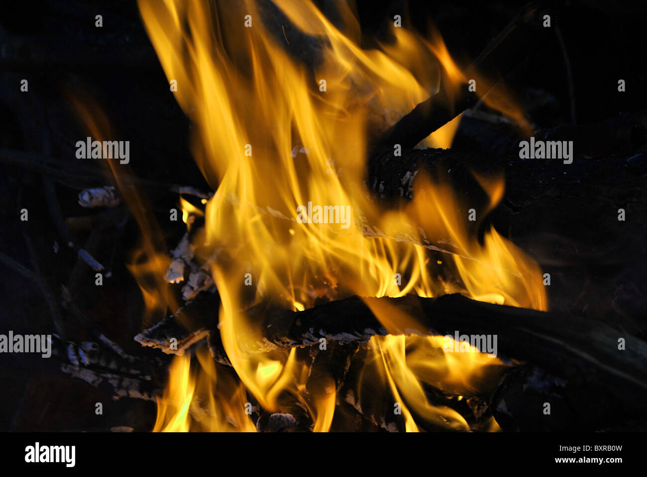 wood fire to cook meat and fish grilled Stock Photo - Alamy