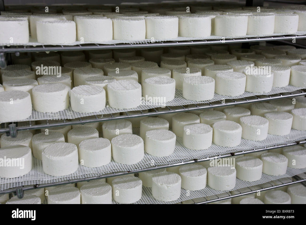Small cheese factory hi-res stock photography and images - Alamy