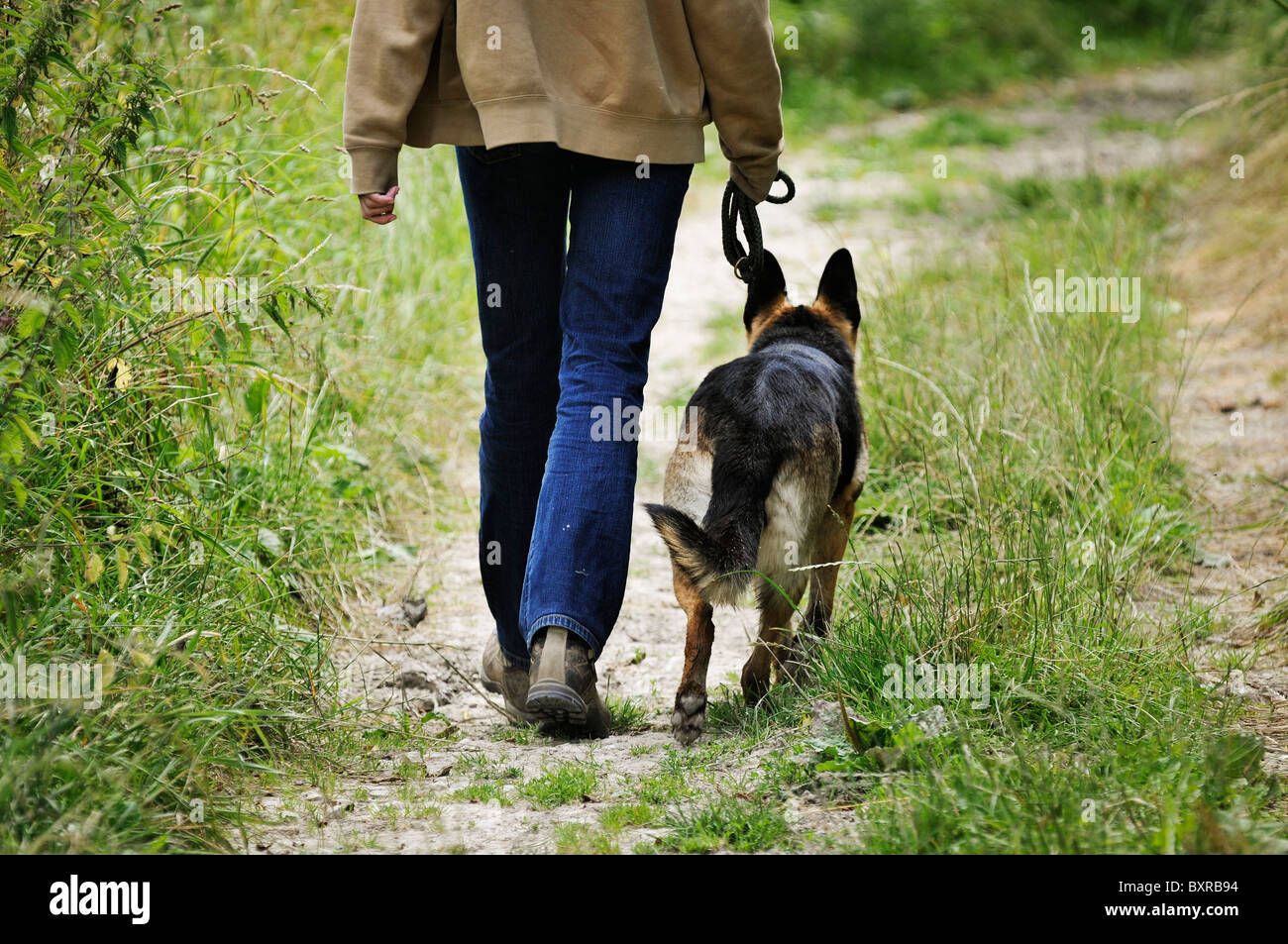 Woman walking german shepherd dog Stock Photo - Alamy