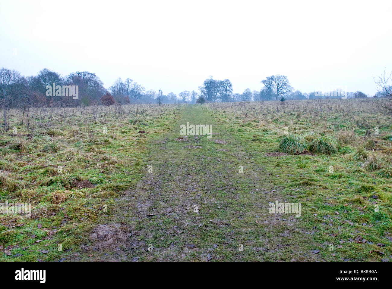 Path through waste grassland hi-res stock photography and images - Alamy