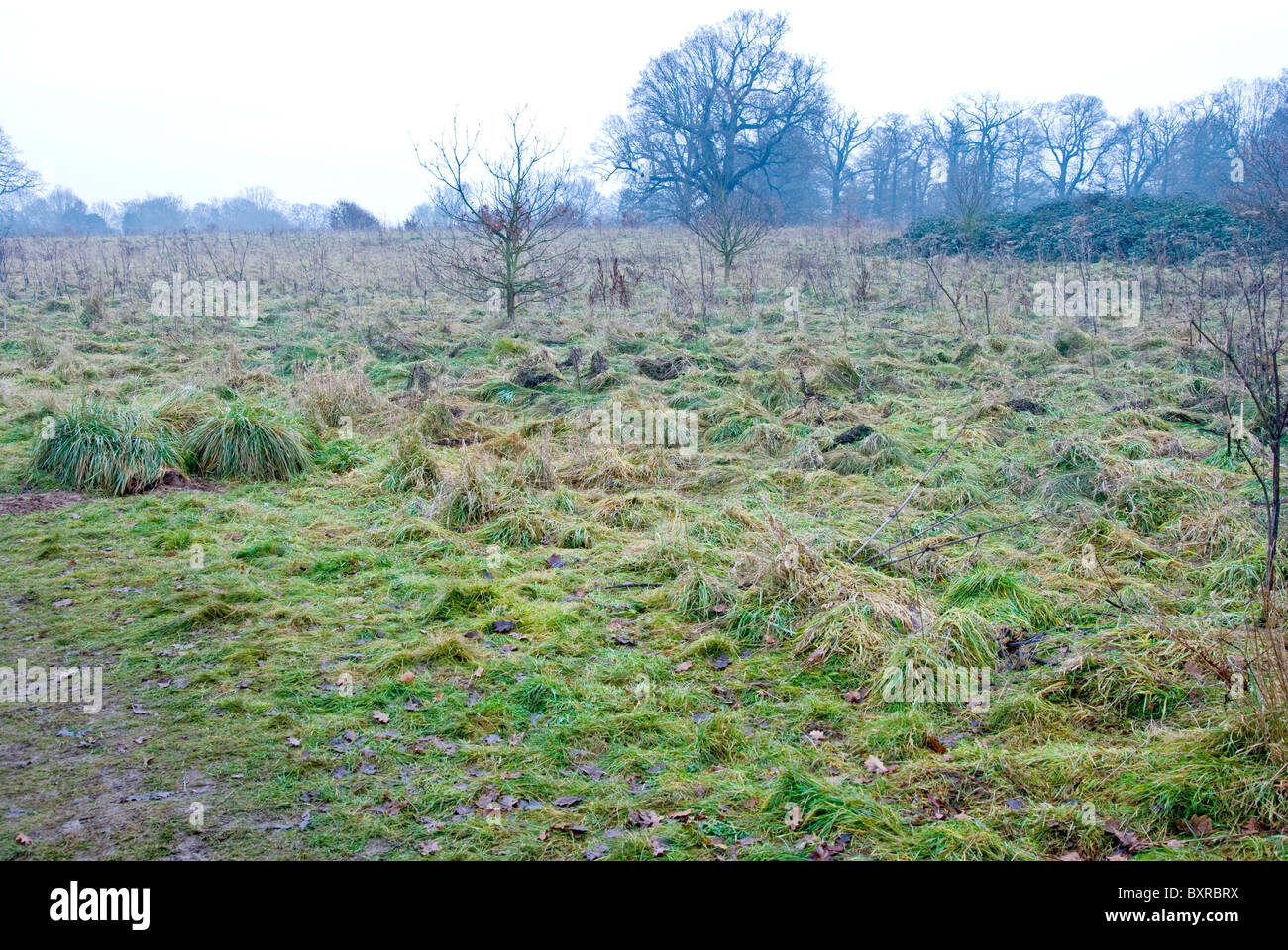 Scrubland area hi-res stock photography and images - Alamy