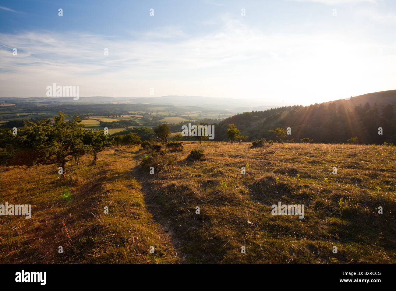 Quantocks hi-res stock photography and images - Alamy