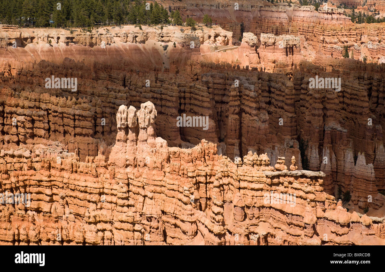 A high view of the hoodoo formations in Bryce Canyon National Park ...