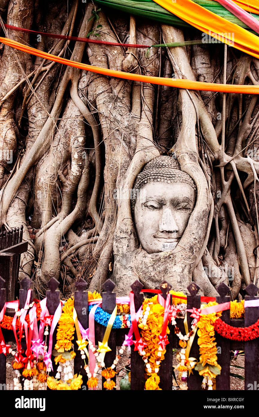 Buda head hi-res stock photography and images - Alamy