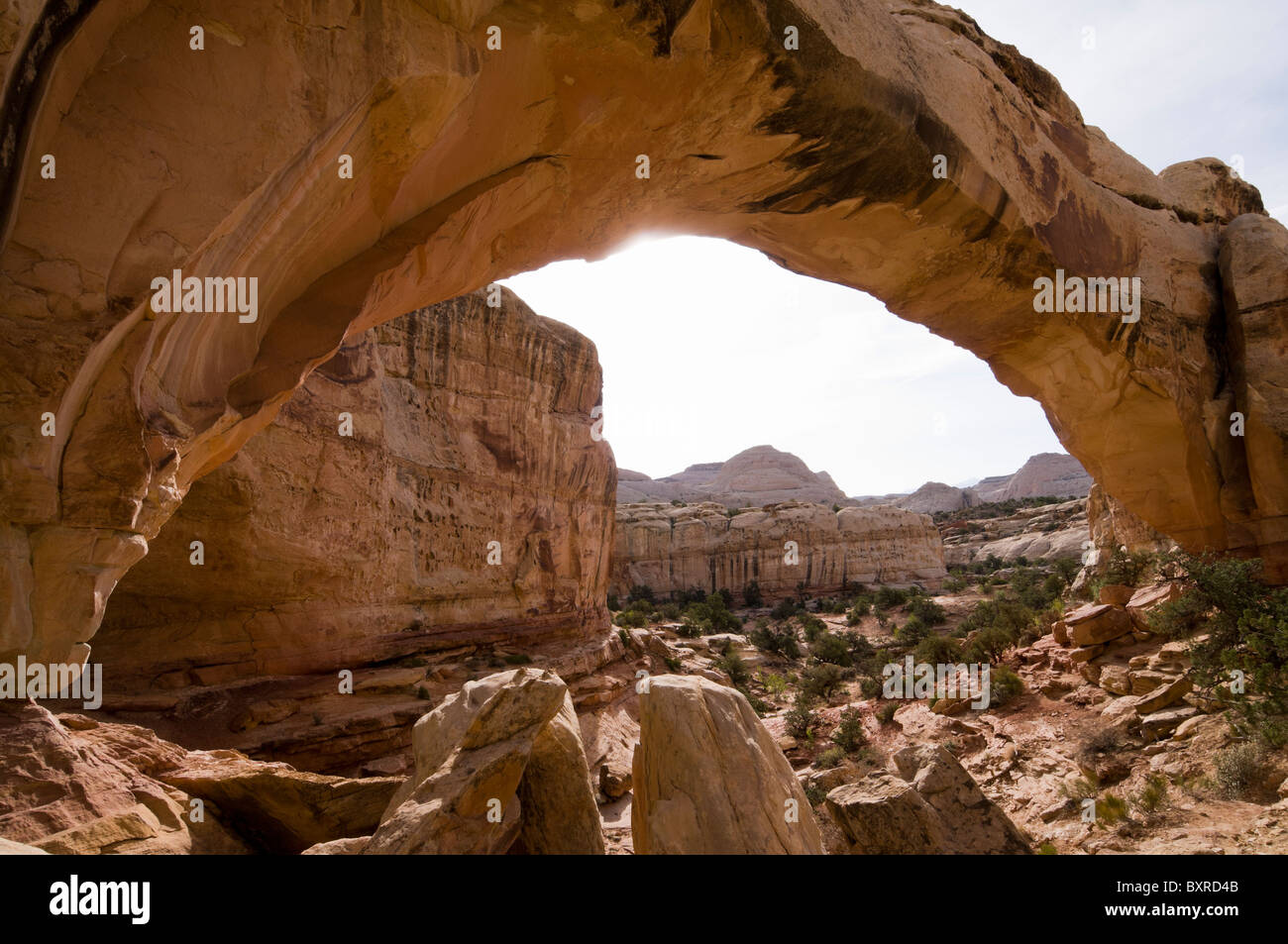 Looking through the arch of Hickman Bridge, Capitol Reef National Park ...