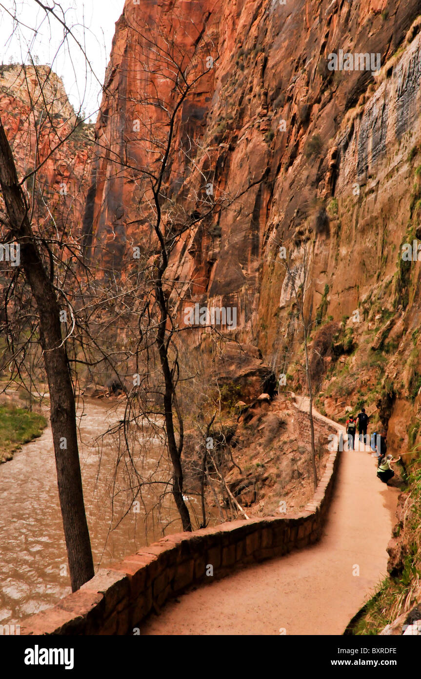 Walkway along Virgin River, Zion National Park, Utah Stock Photo - Alamy