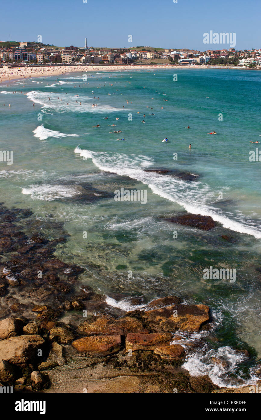 Bondi surf bathers hi-res stock photography and images - Alamy