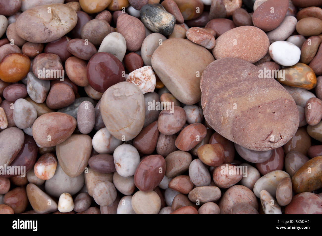 Large pebble on a wet pebble beach Stock Photo - Alamy
