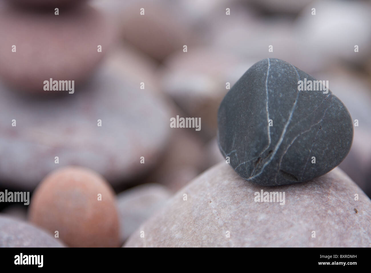 Single pebble hi-res stock photography and images - Alamy