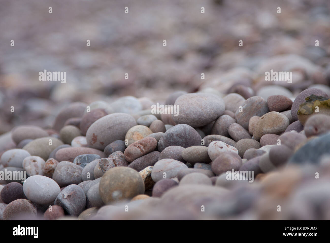 Shallow depth of field shot across a pebble beach Stock Photo - Alamy