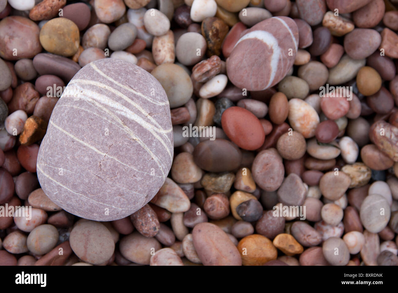 Large pebbles on a pebble beach Stock Photo - Alamy