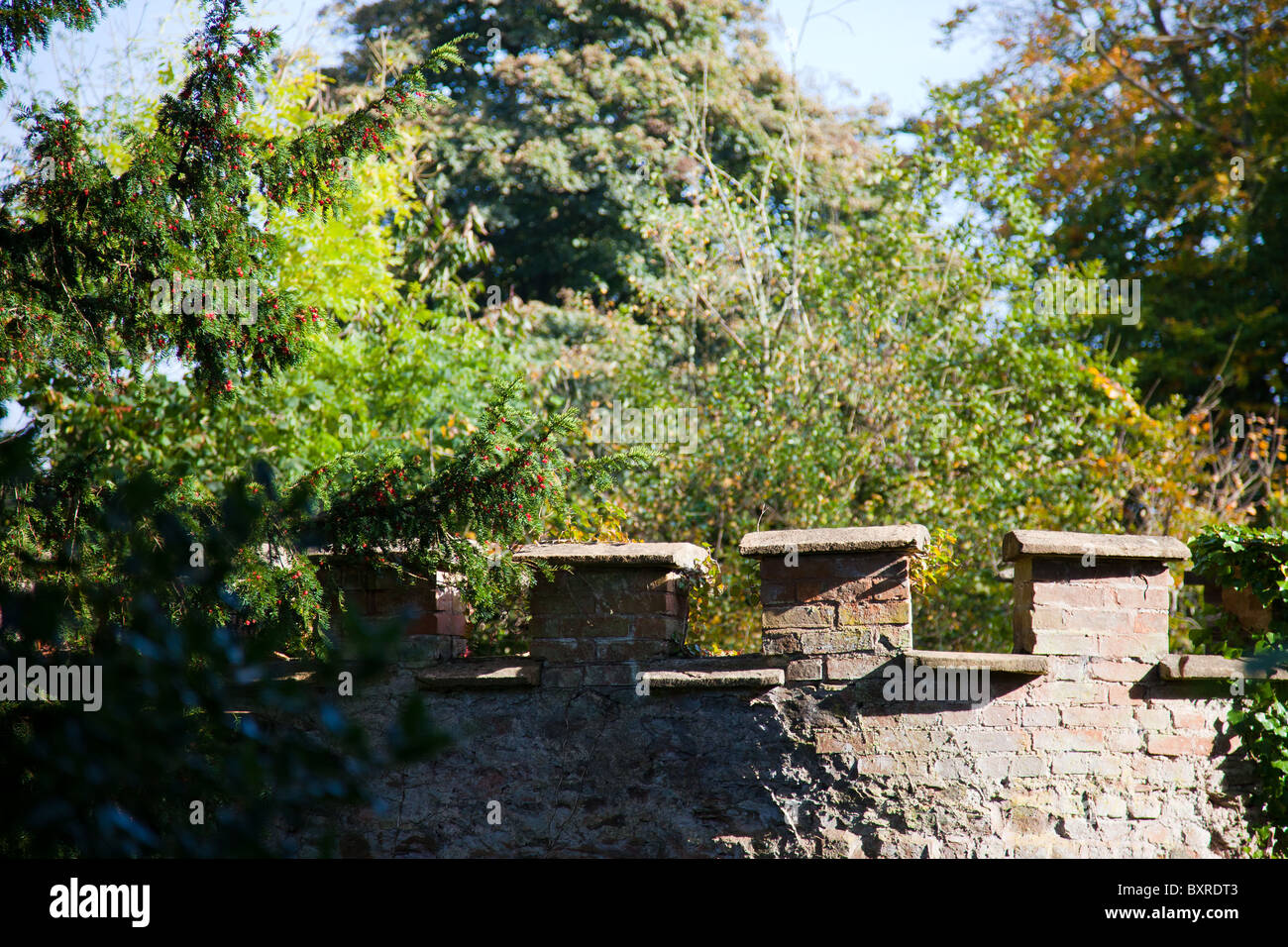 Folly top hi-res stock photography and images - Alamy