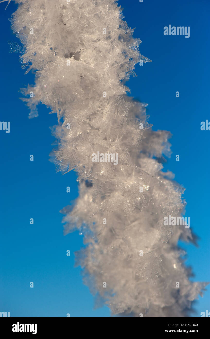 Close up of Hoar frost forming on wire fence, forming ice crystals ...