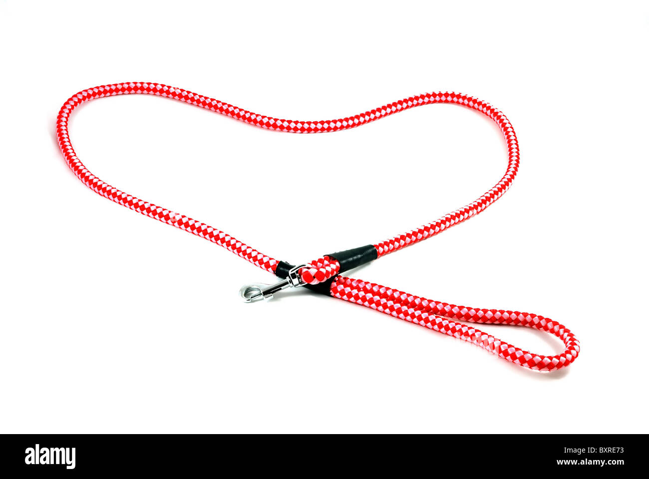 Comfort dog Cut Out Stock Images & Pictures - Alamy