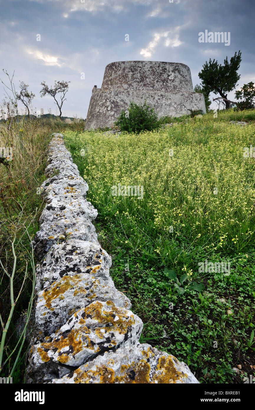 Typical dry-stone cabin and wall in rural Murgia, Puglia, Italy Stock ...