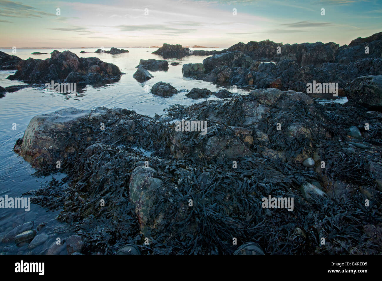 Marblehead hi-res stock photography and images - Alamy