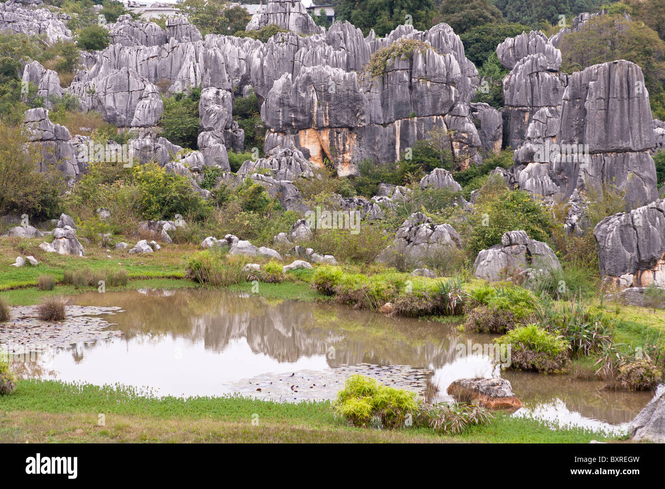 Shilin park hi-res stock photography and images - Alamy