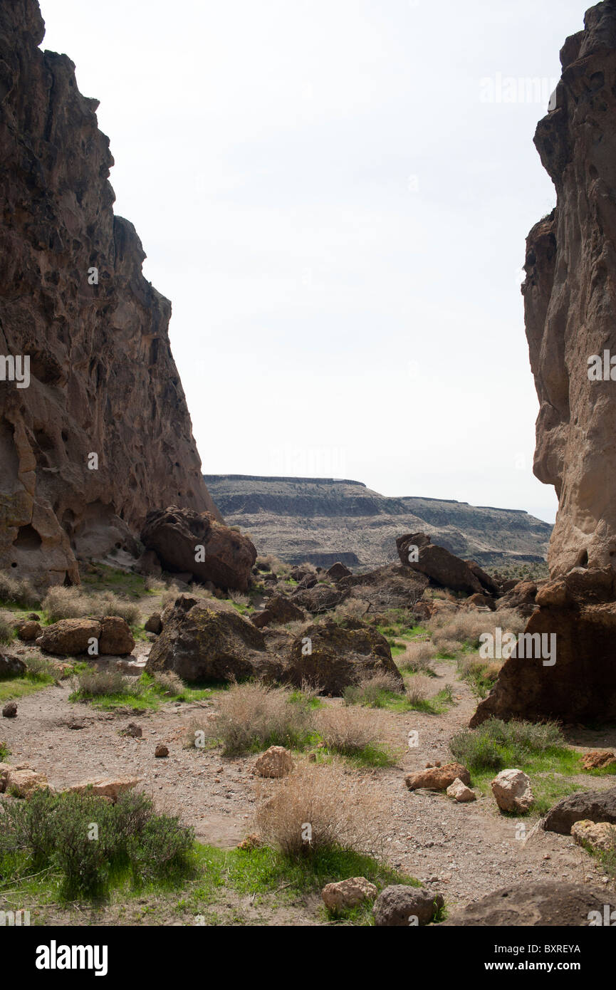 The Grotto, Ring Trail, Hole-In-The-Wall, Mojave National Preserve ...