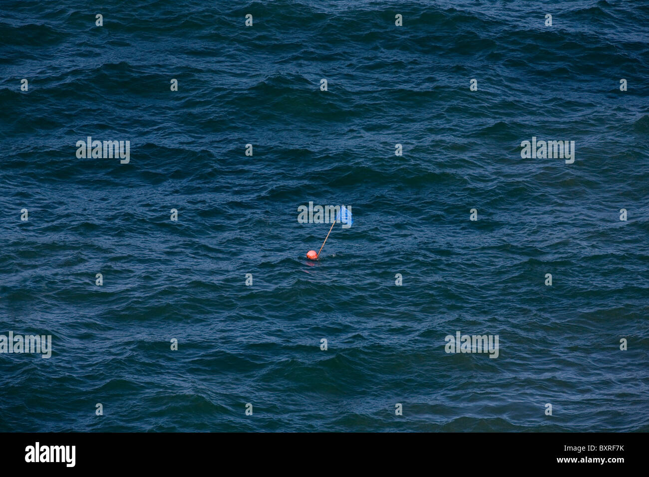 Buoy floating in sea Stock Photo - Alamy