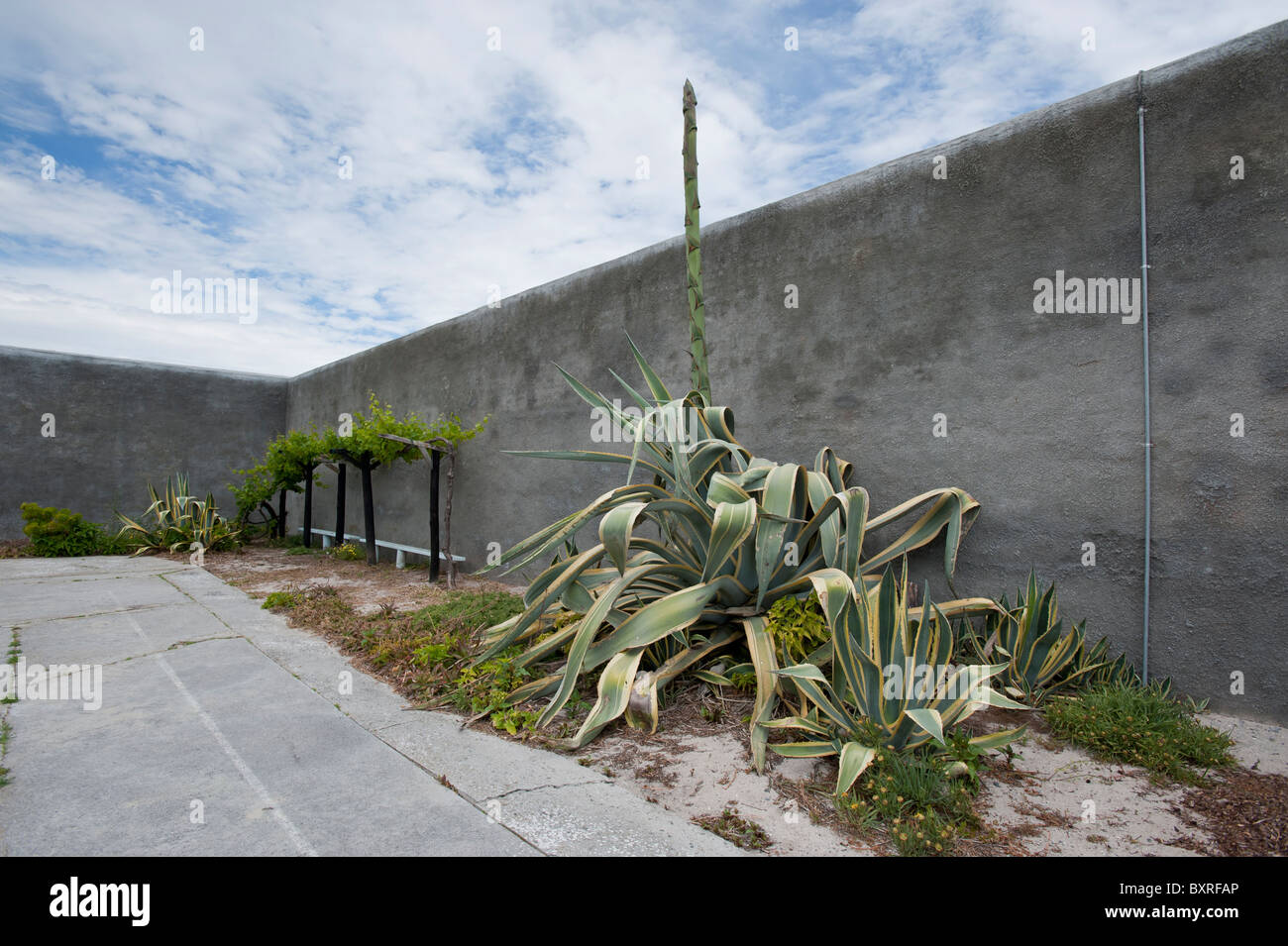 Exercise Yard in Robben Island Maximum Security Prison where Political ...