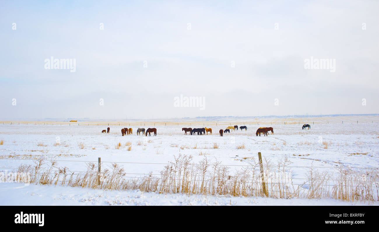 Picture butte alberta hi-res stock photography and images - Alamy
