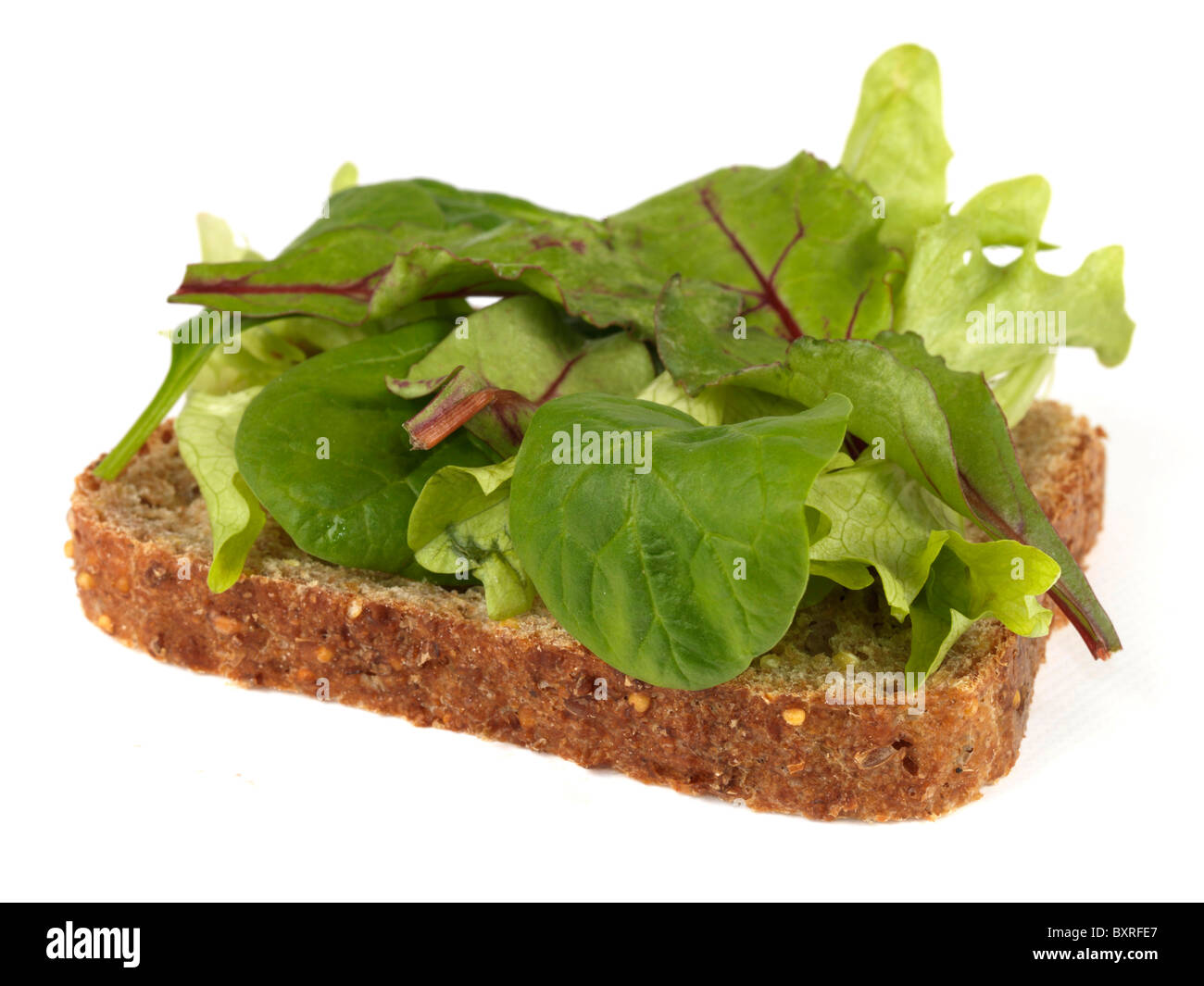 Lettuce leaves salad wholemeal sliced bread vegetarian sandwich hi-res ...