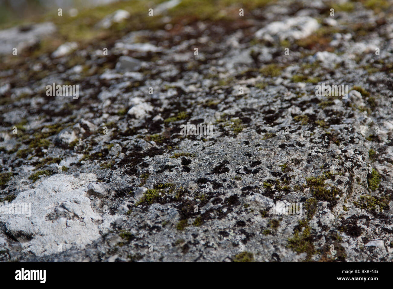 Rock detail hi-res stock photography and images - Alamy