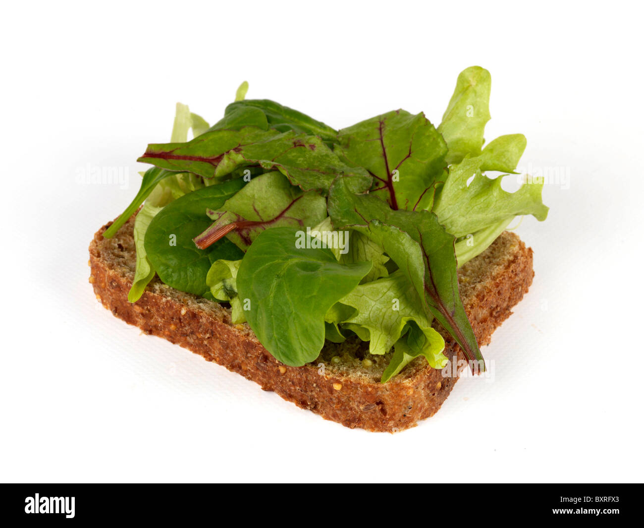 Lettuce leaves salad wholemeal sliced bread vegetarian sandwich hi-res ...