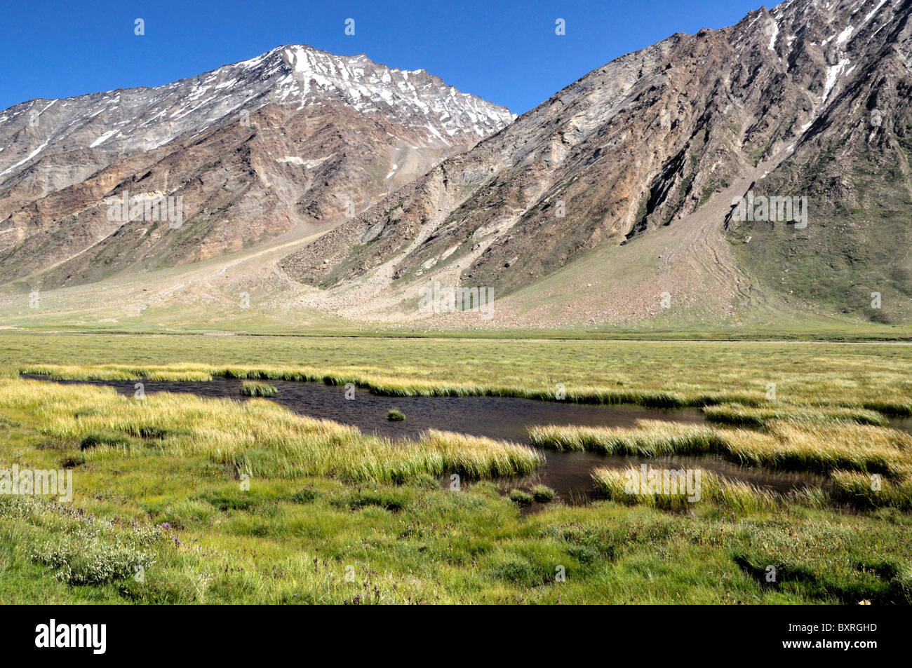 A beautiful valley in the Zanskar range of the Himalaya Stock Photo - Alamy