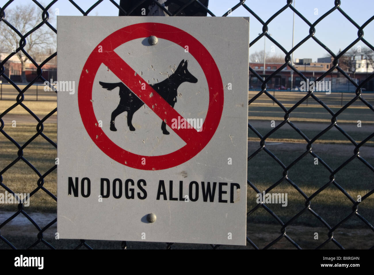 Animal attention canine keep out no dogs pet warning sign hi-res stock ...