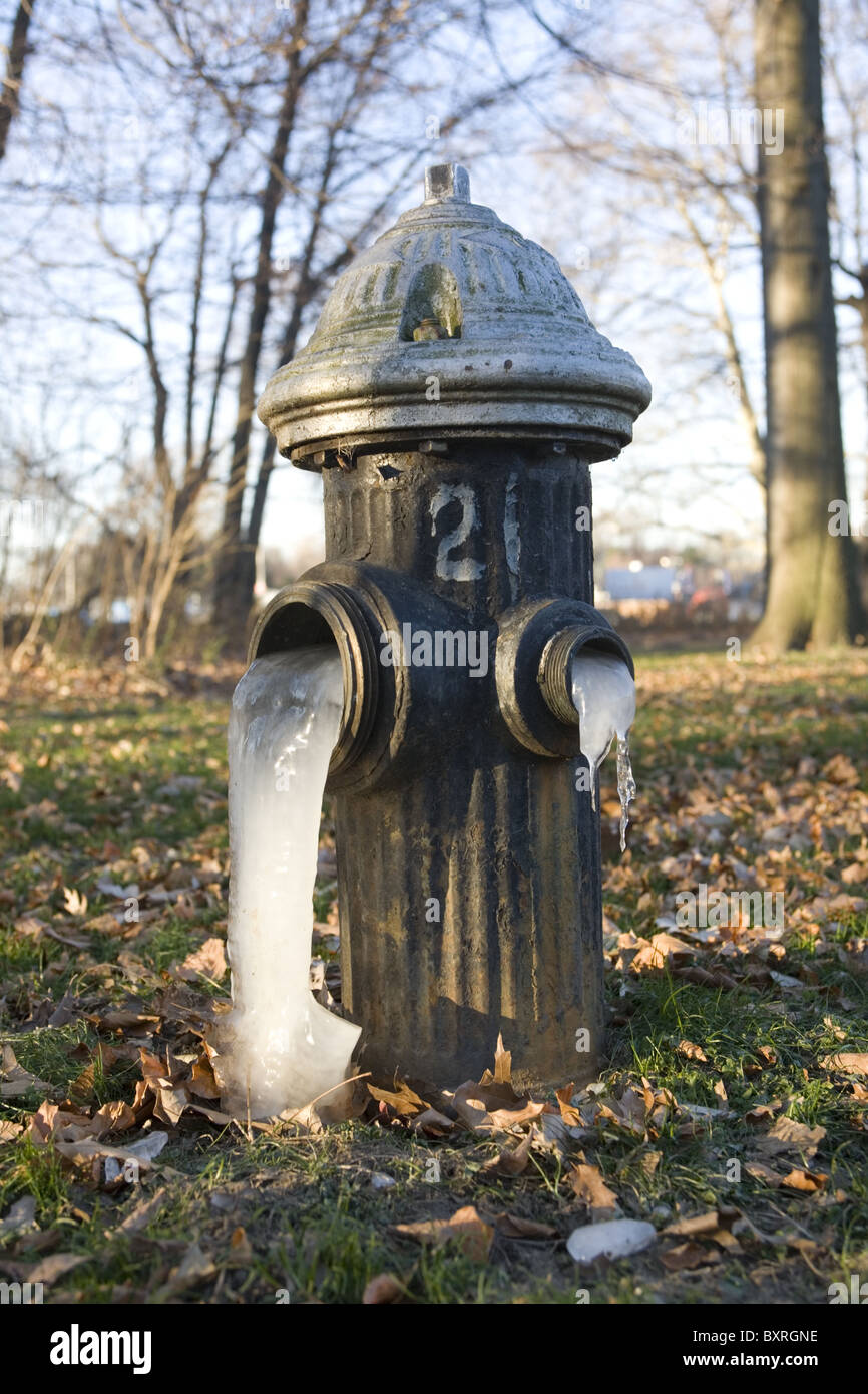 New York City Fire Hydrant Stock Photos & New York City Fire Hydrant ...