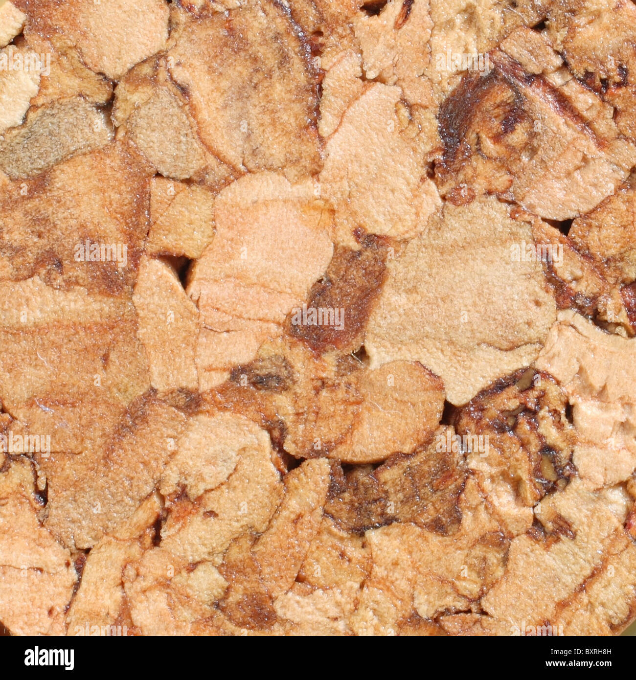 close-up background image of cork texture Stock Photo - Alamy