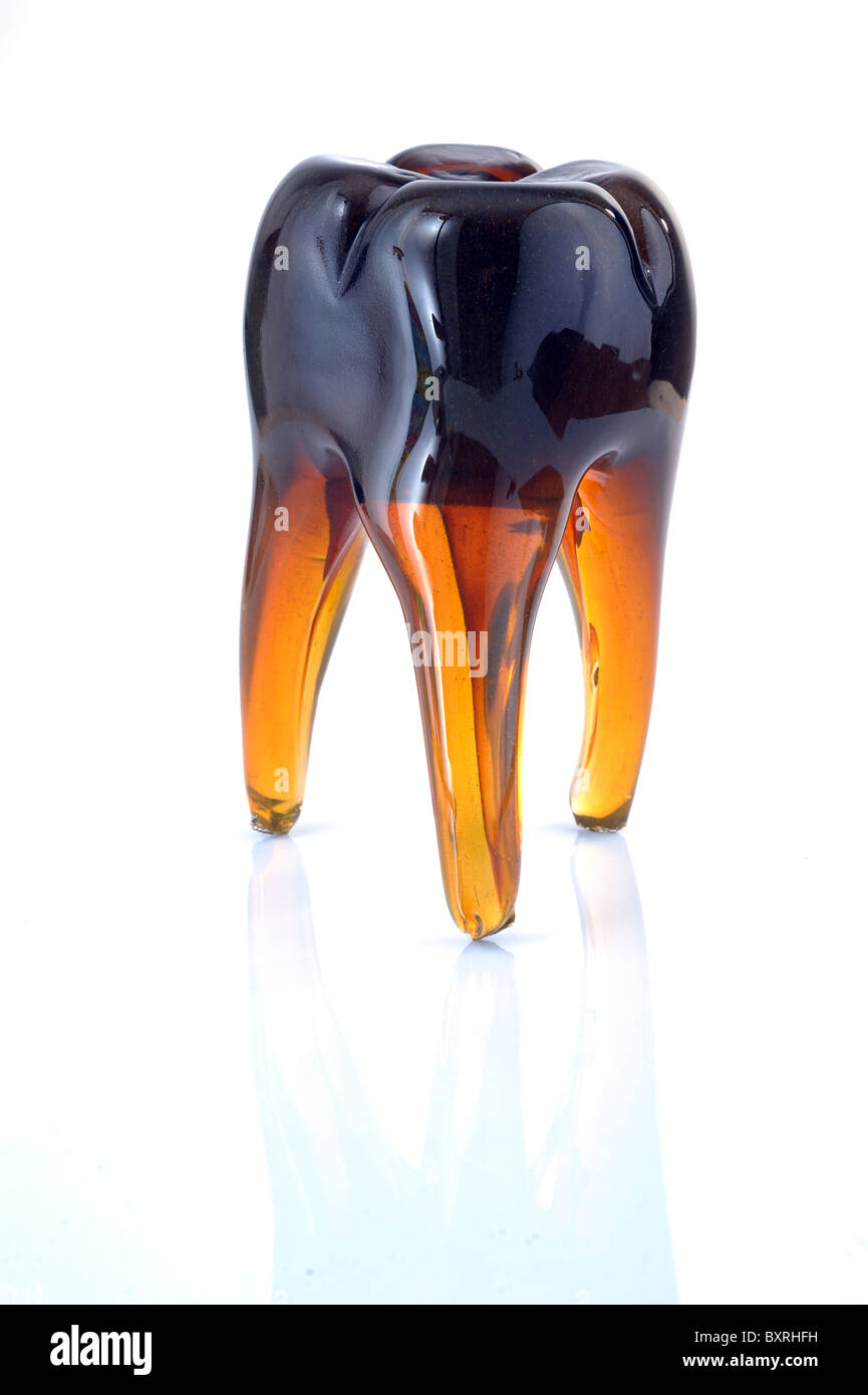 Glass tooth isolated on white background Stock Photo - Alamy