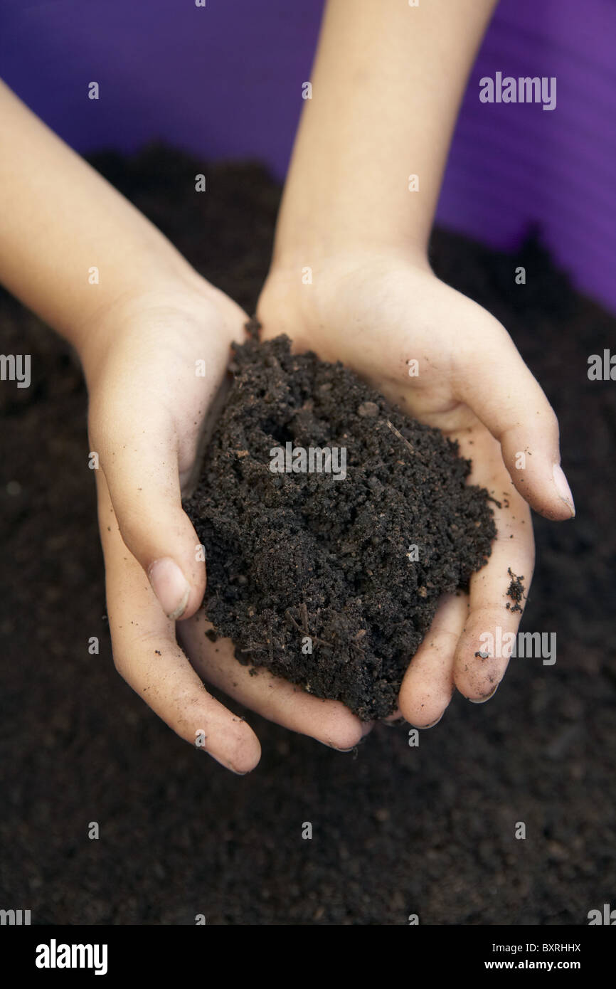 Child's hands holding pile of soil Stock Photo - Alamy