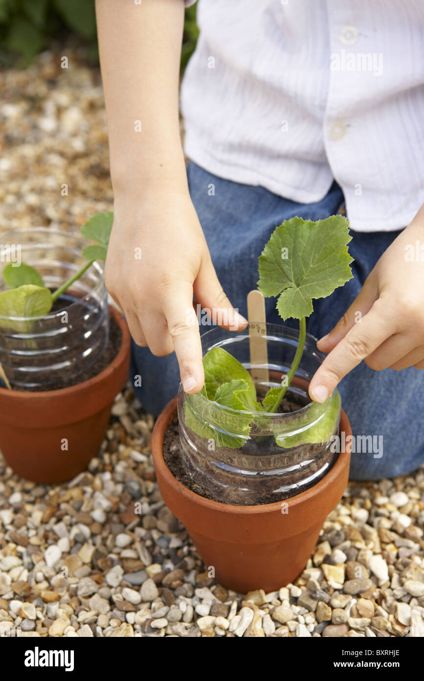 Courgette seedling plastic bottle hi-res stock photography and images ...